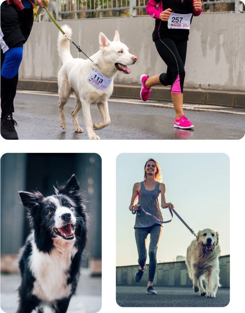 Pralines Backyard Foundation Fun Run | Praline’s Backyard Foundation